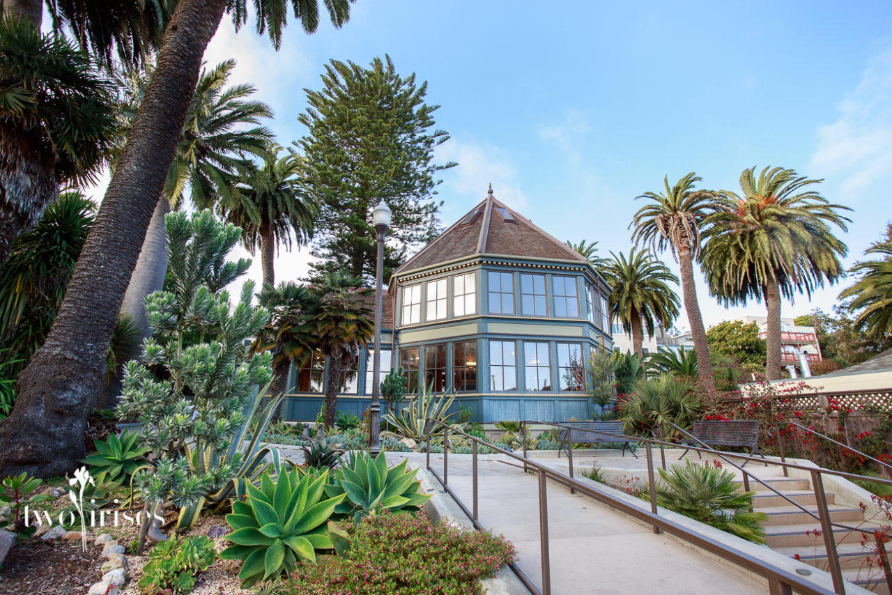 San Francisco Sunnyside Conservatory Wedding • Two Irises